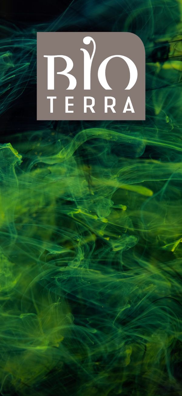 The Relaunch of bioterra.ch - ENSO AI